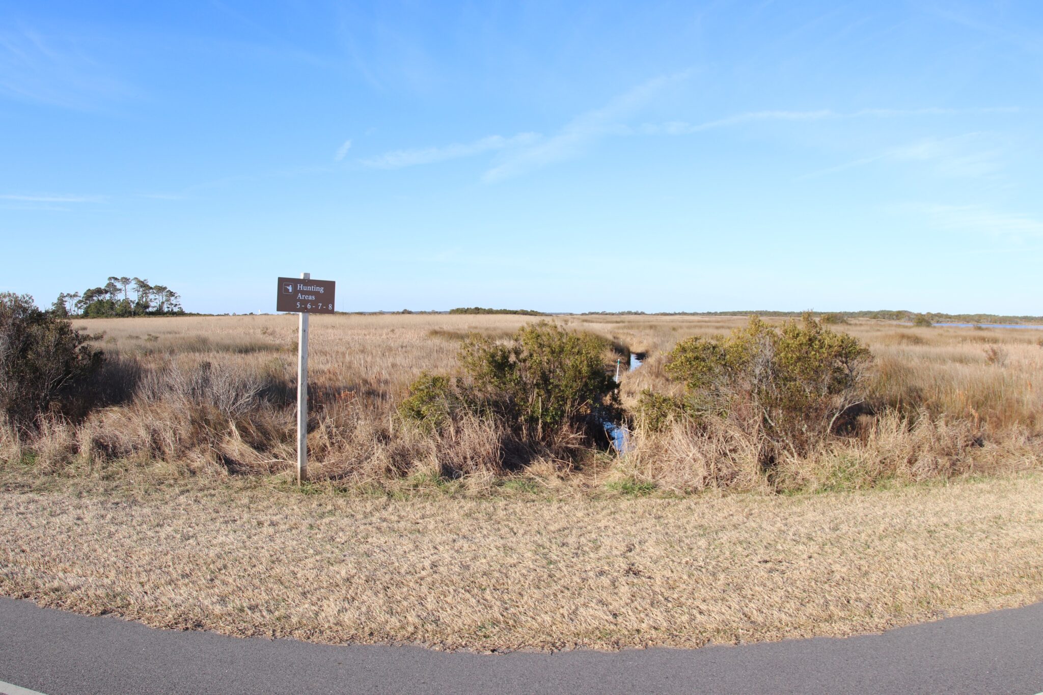 Outer Banks Bucketlist for February - Scott Team Realty, Inc.